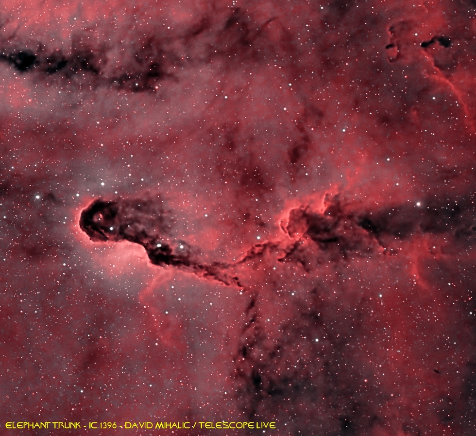 Close-up Elephant Trunk Nebula - IC 1396 | Telescope Live